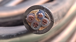 FW-CV 2.5SQ*4C (차수형TFR-CV전선) - LS전선(주) - 여기에 산업플라자