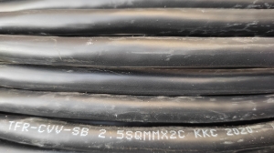 TFR-CVV-SB 2C*2.5SQ(편조차폐전선) - KKC(금강케이블) - 여기에 산업플라자