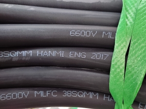 MLFC 38SQ 6,600V (MLFC 38SQ * 1C 6.6kV) - 한미ENG - 여기에 산업플라자