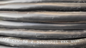 TFR-CVV-SB 2C*2.5SQ(TFR-CVV-SB 2.5*2,편조차폐전선) - KKC - 여기에 산업플라자