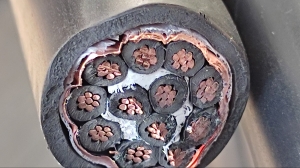 TFR-CVVS 2.5*12C (동박차폐전선,동테이프실드선)-가온전선 - 여기에 산업플라자