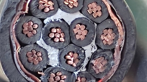 TFR-CVVS 2.5*12C (동박차폐전선,동테이프실드선)-가온전선 - 여기에 산업플라자