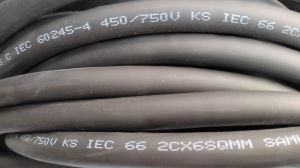 2CT 2C*6SQ (KS IEC66 고무전선) - 삼원전선(주) - 여기에 산업플라자