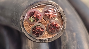 TFR-CV 16SQ*4C (난연가교폴리에틸렌절연전선) - 대한전선 - 여기에 산업플라자