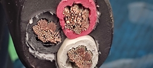 PNCT 25SQ*3C (KS C IEC 60502-1) - 명인전선 - 여기에 산업플라자