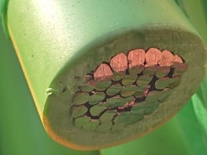 TFR-GV 150SQ (접지전용전선) - 모보케이블 - 여기에 산업플라자