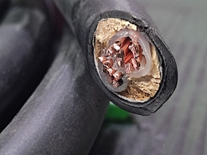 TFR-CV 2C*10SQ - 금화전선 - 여기에 산업플라자