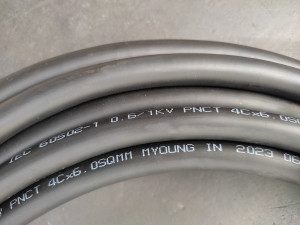 PNCT 4C*6SQ (KS C IEC 60502-1) - 명인전선 - 여기에 산업플라자