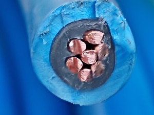 TFR-CV 6SQ*1C 청색 (트레이 가교폴리에틸렌절연 전선) - 금강케이블 - 여기에 산업플라자