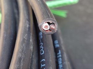 TFR-CVV-SB 2C*2.5SQ(TFR-CVV-SB 2.5*2,편조차폐전선) - 광일전선 - 여기에 산업플라자