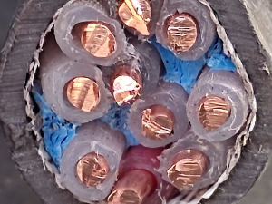 TFR-3 2.5SQ*10C 단선(1.78mm*10C,화재경보용전선) - 금강케이블 - 여기에 산업플라자